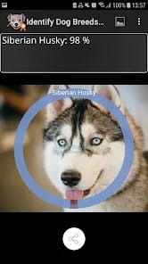 Identify Dog Breeds Pro APK 26 (Full Version) Android - LeleJoy